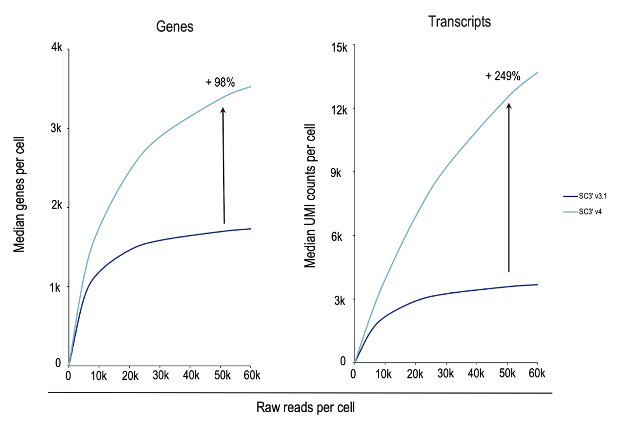 The neXt generation of single cell RNA-seq: An introduction to GEM-X technology - 10x Genomics